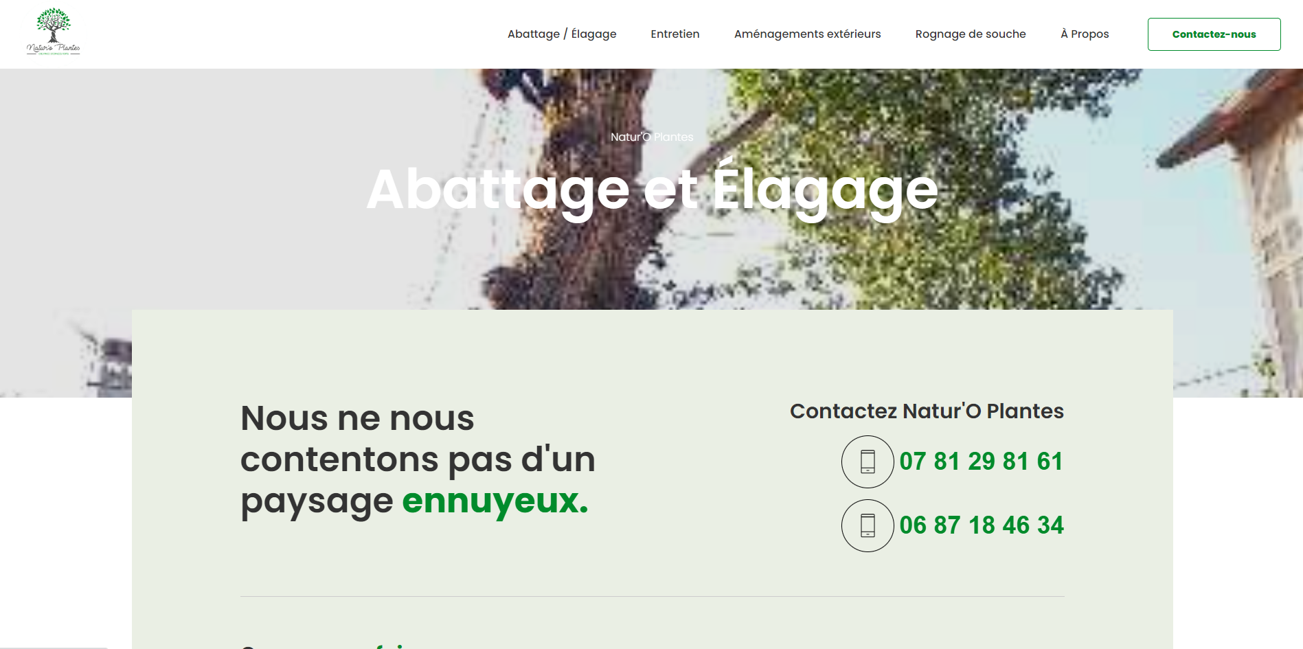 Delille Anthony Portfolio